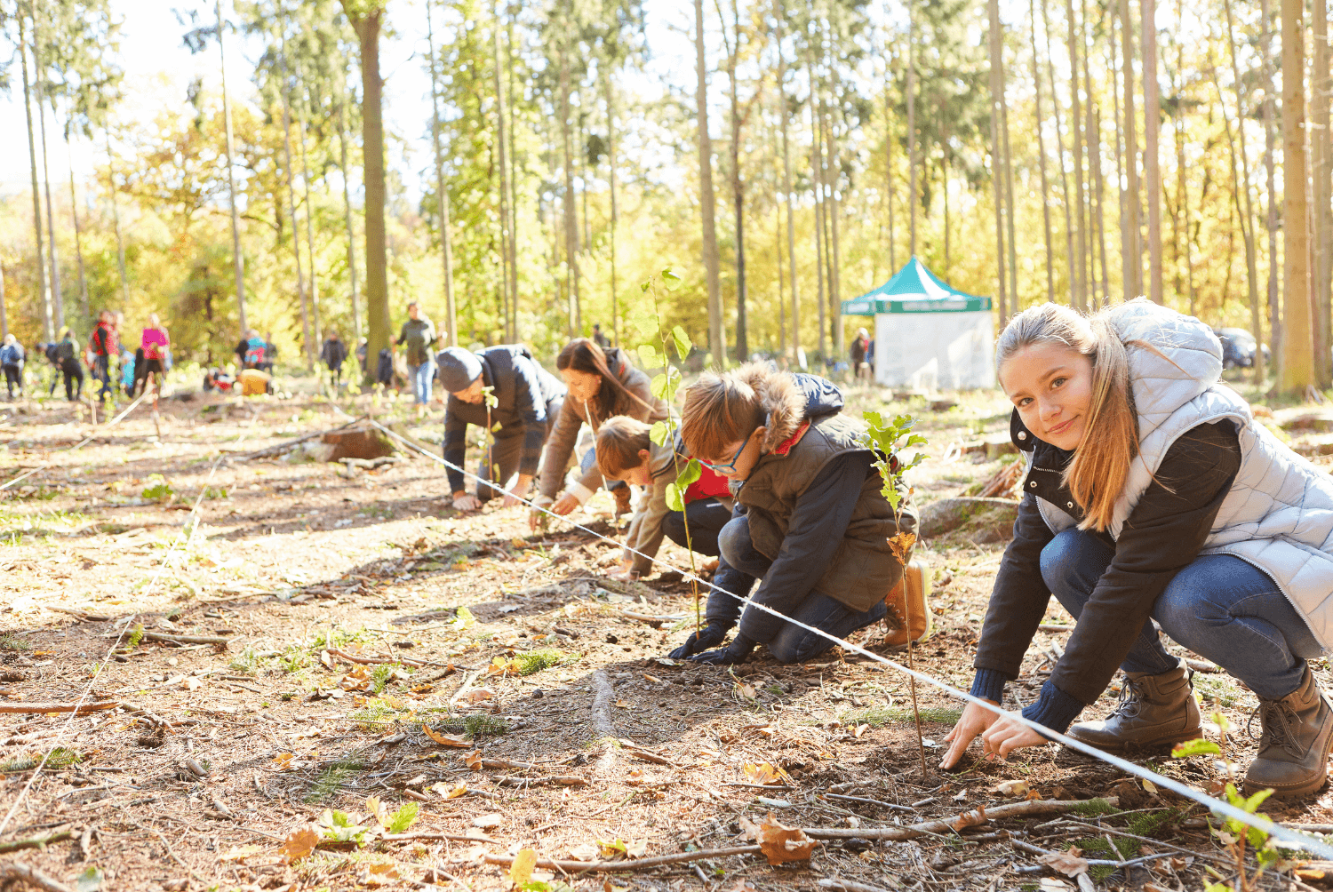 WEBINAR: Breaking into Climate - Blogs - Climate People